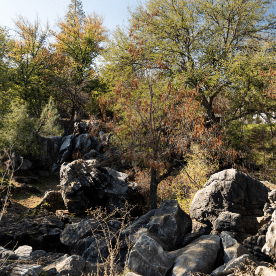 Stay in Style: Top Hotel in Sonora, California | Hotel Lumberjack